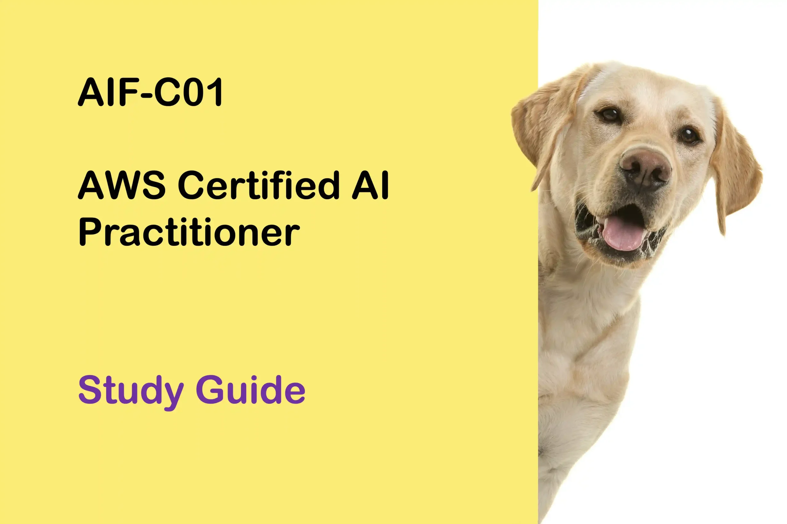 AWS Certified AI Practitioner (AIF-C01) Study Guide - Ravikiran Srinivasulu